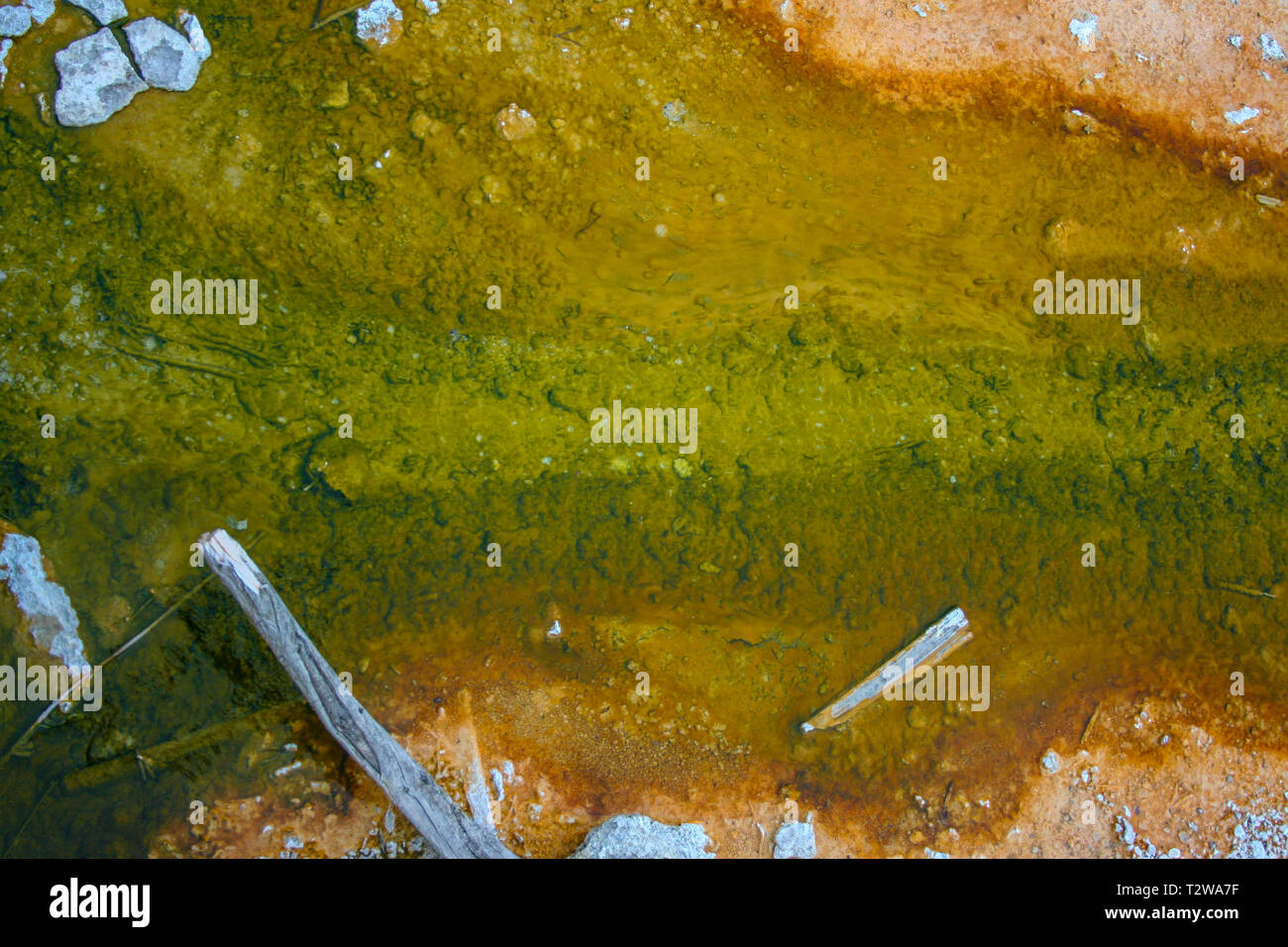 Geyser calcification hi-res stock photography and images - Alamy