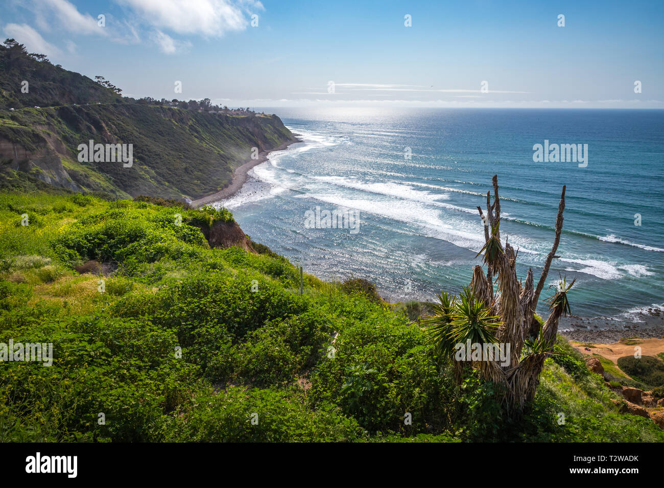 Scenic coastal view of tall cliffs of Bluff Cove covered with ...