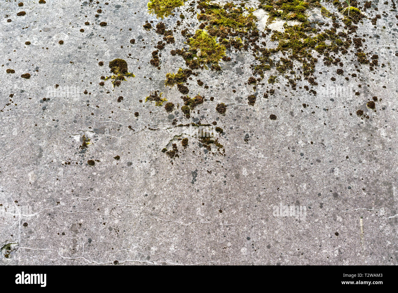 Surface Texture Stains Ink Stains Abstract Marbled Surface Drawing