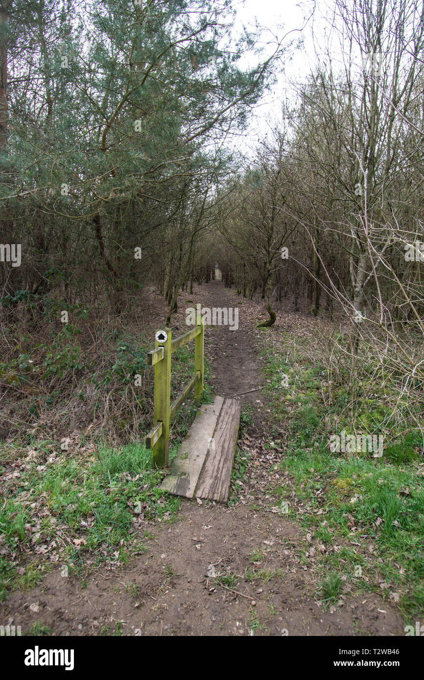 Salcey forest northamptonshire hi-res stock photography and images - Alamy