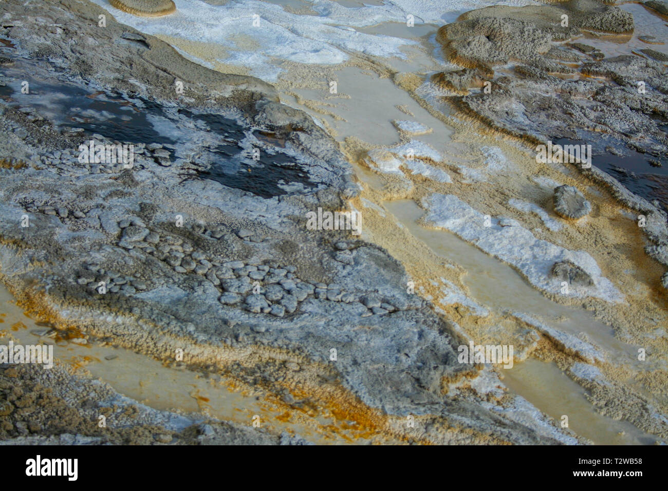 Depth of field geyser hi-res stock photography and images - Alamy