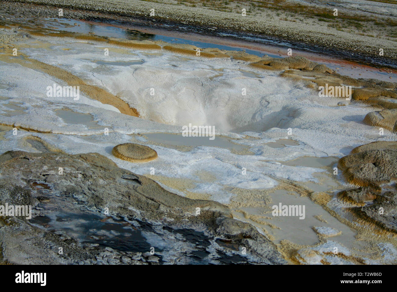 Yellowstone national park and geyser pools Stock Photo - Alamy