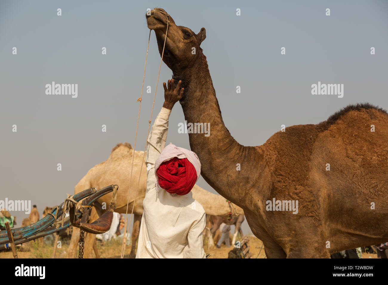 Indian farmer white turban in hi-res stock photography and images - Alamy