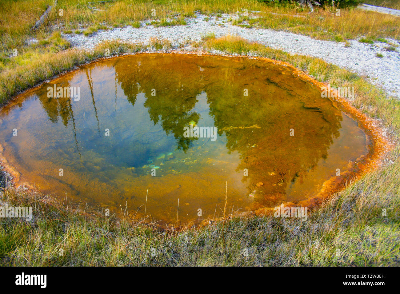 Yellowstone national park and geyser pools Stock Photo - Alamy