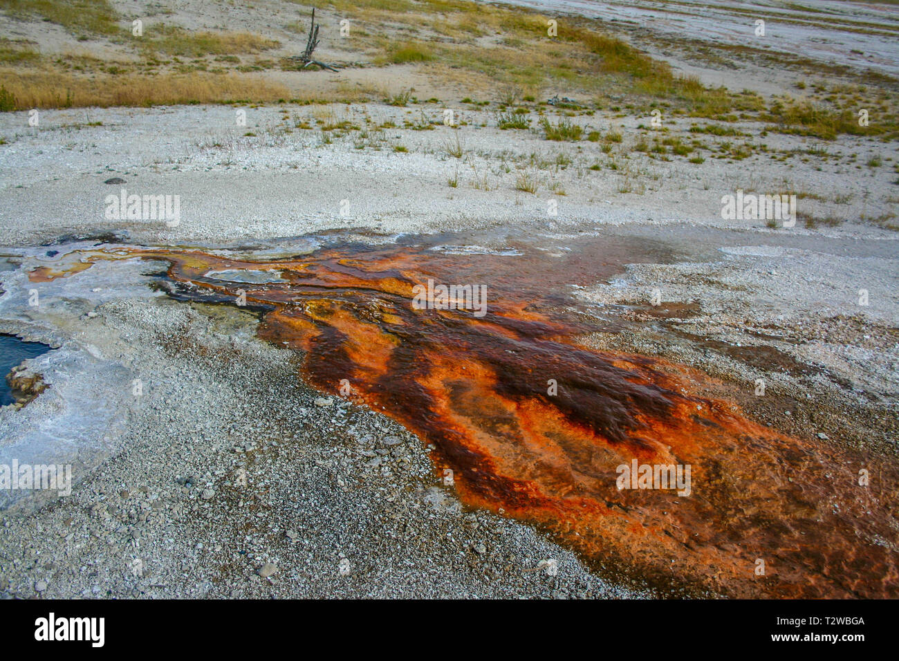 Yellowstone national park and geyser pools Stock Photo - Alamy