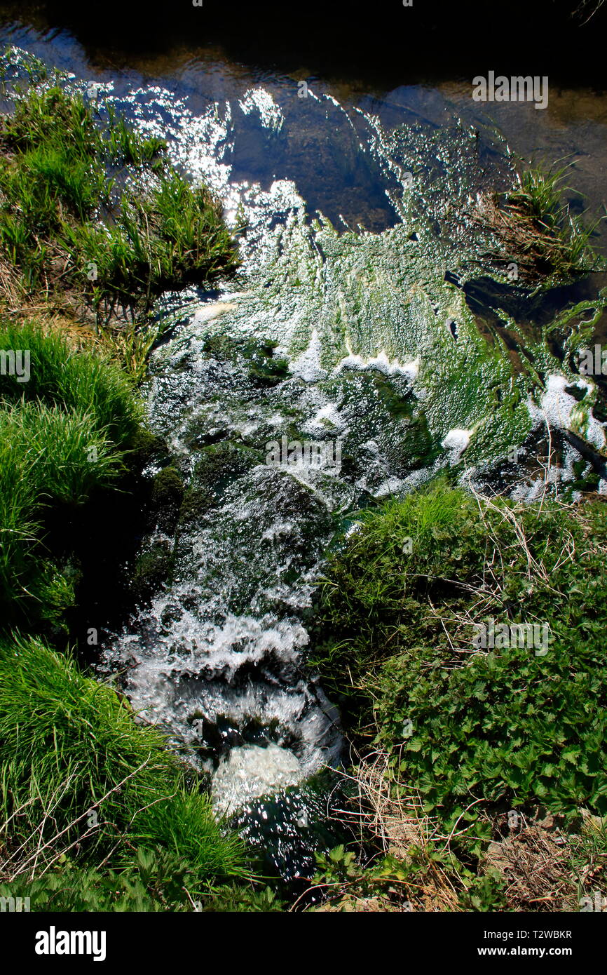 Algae formation in the course of a sewage treatment plant Stock Photo ...