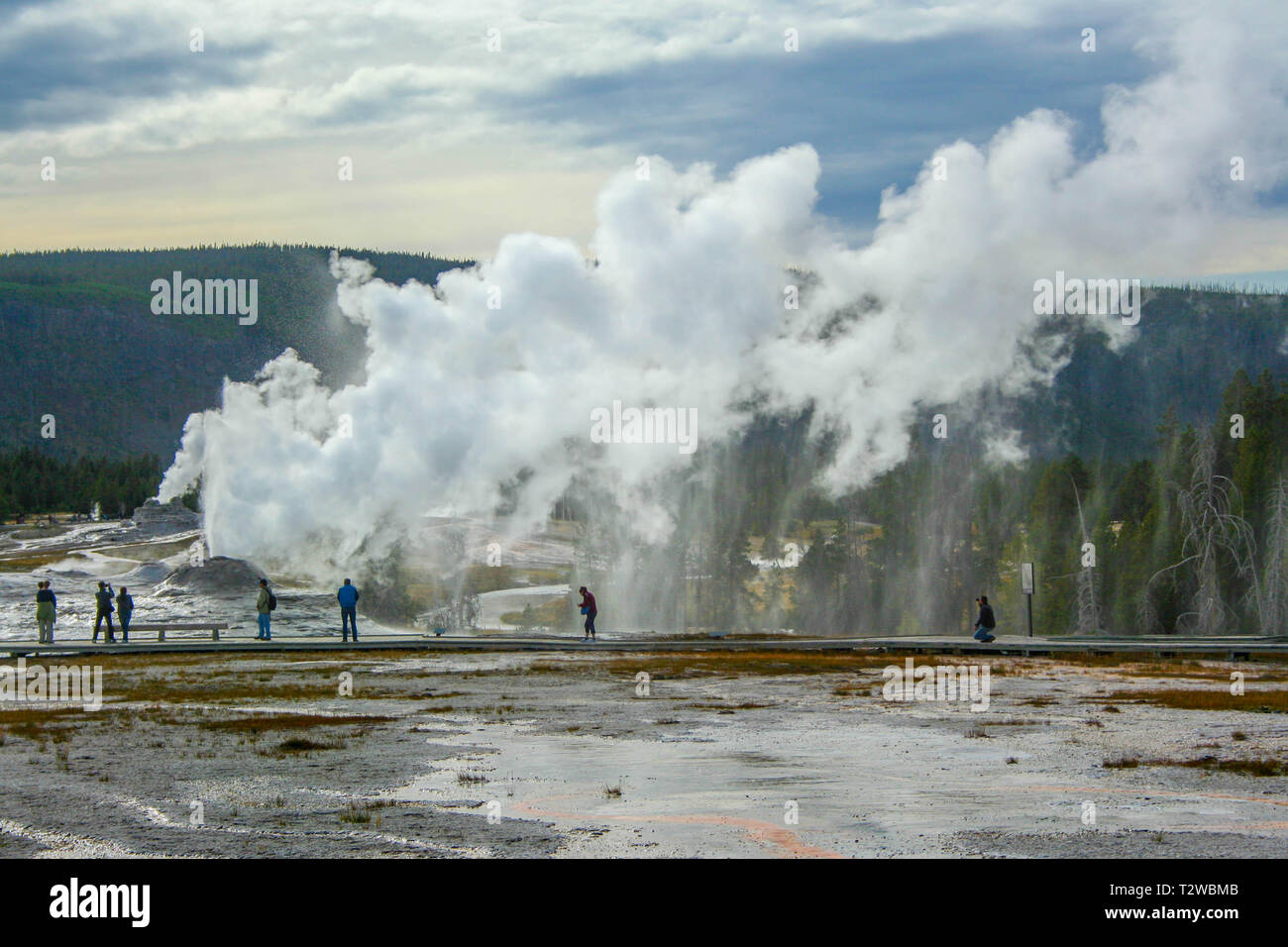 Yellowstone national park and geyser pools Stock Photo - Alamy