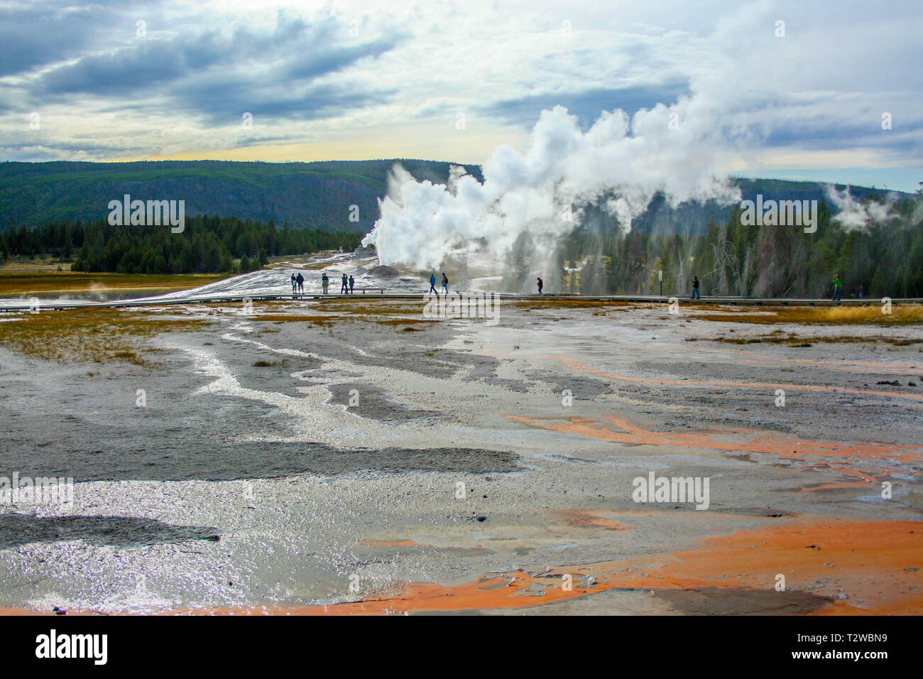 Yellowstone national park and geyser pools Stock Photo - Alamy