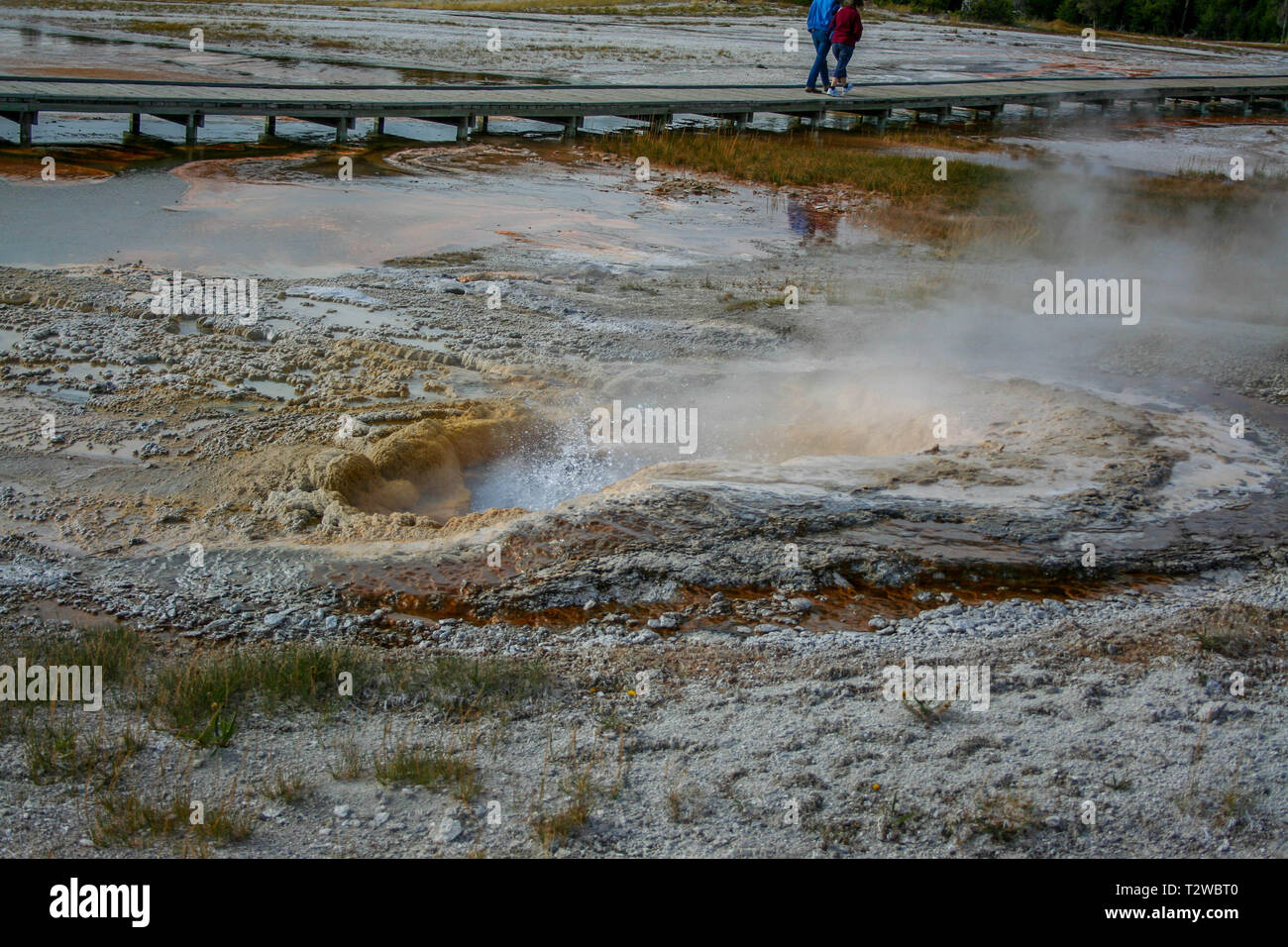 Yellowstone national park and geyser pools Stock Photo - Alamy