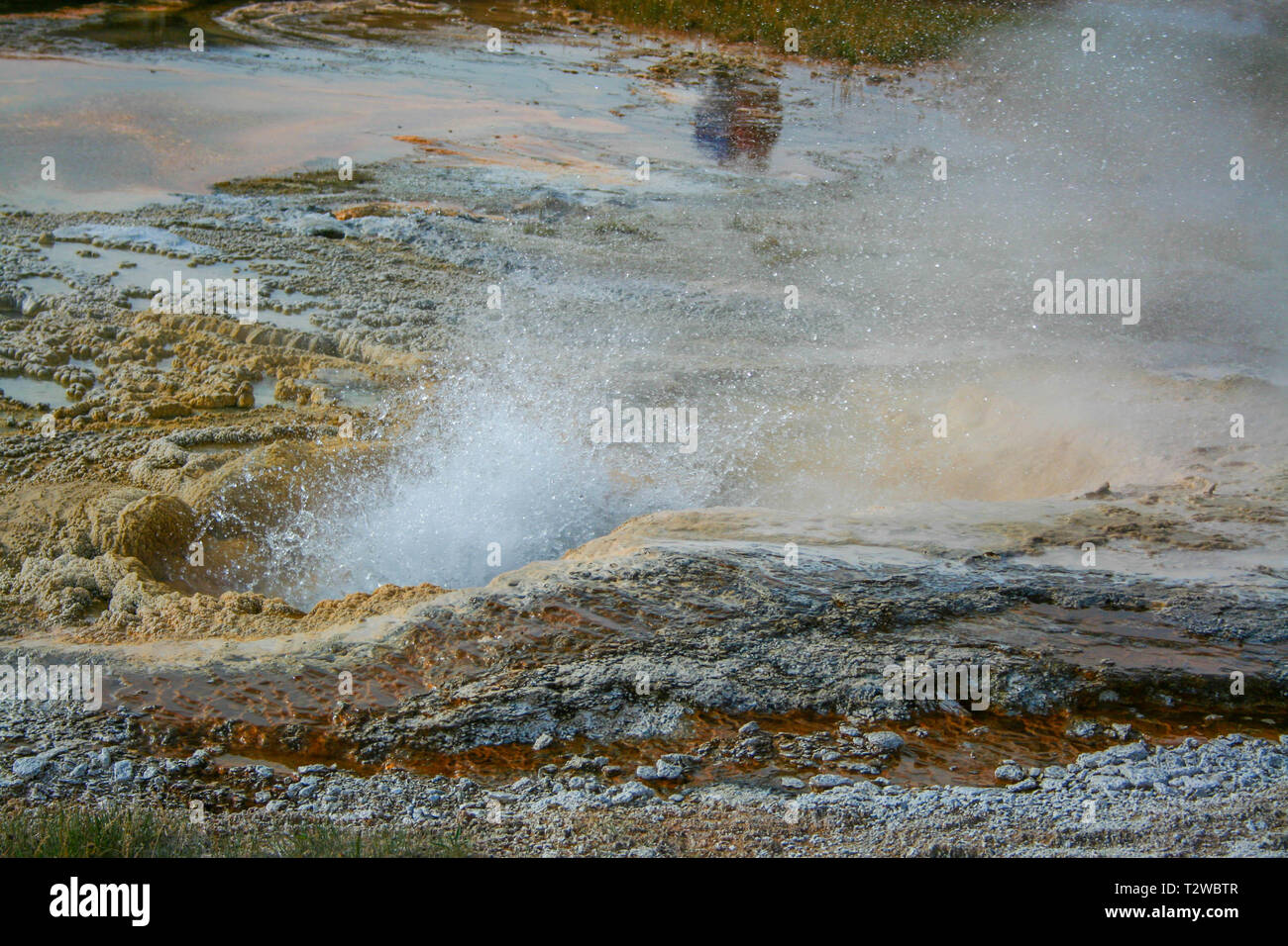 Yellowstone national park and geyser pools Stock Photo - Alamy