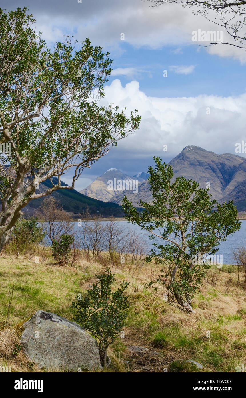 Loch etive hi-res stock photography and images - Alamy