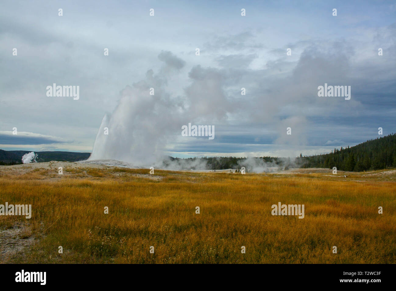 Yellowstone national park and geyser pools Stock Photo - Alamy