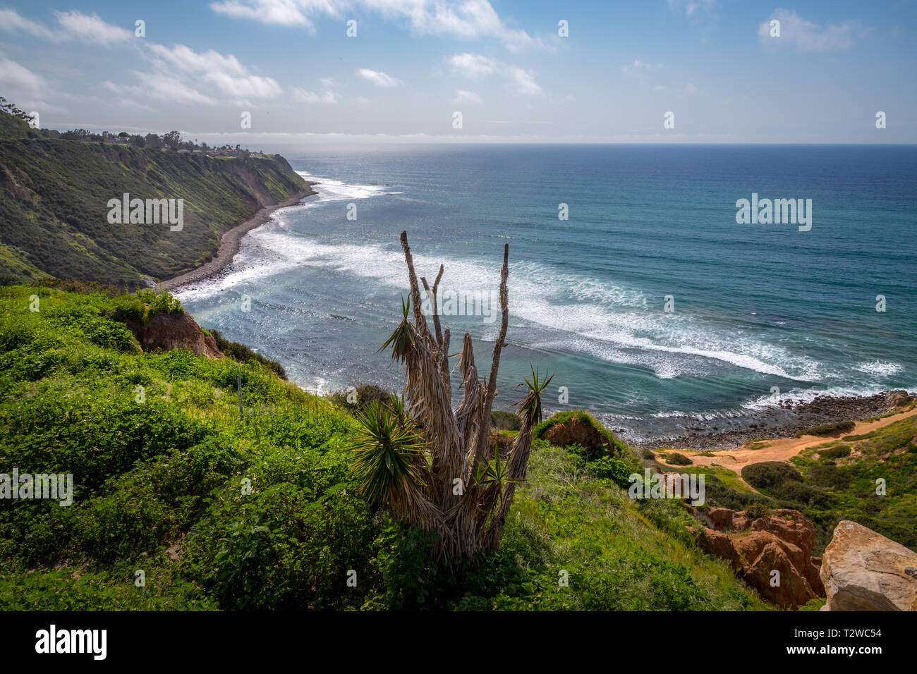 Scenic coastal view of tall cliffs of Bluff Cove covered with ...