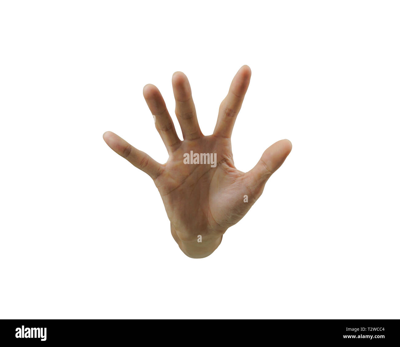 A cropped of hand gesture stop sign isolated on white background ...