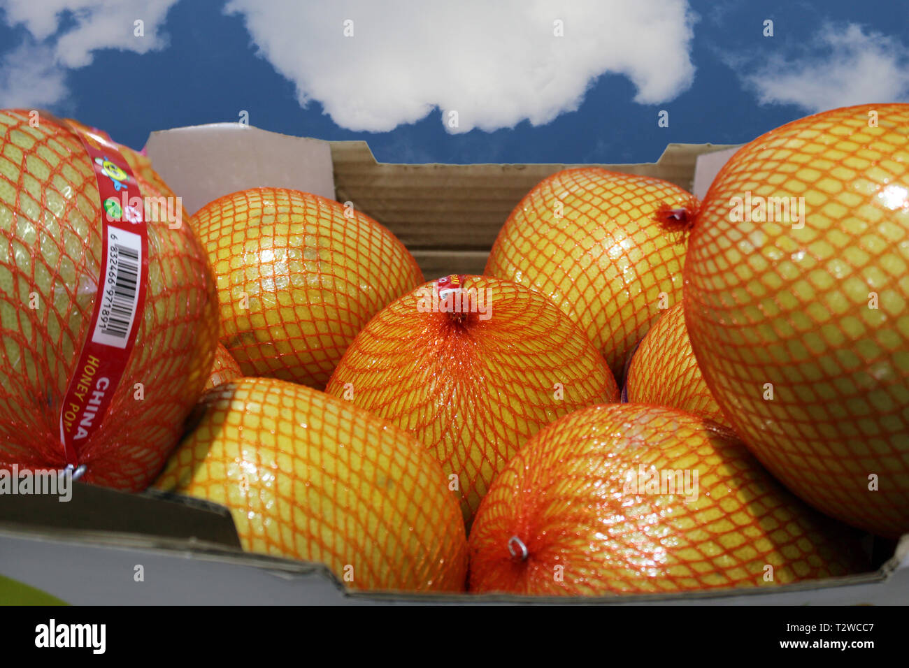 Packed oranges hi-res stock photography and images - Alamy