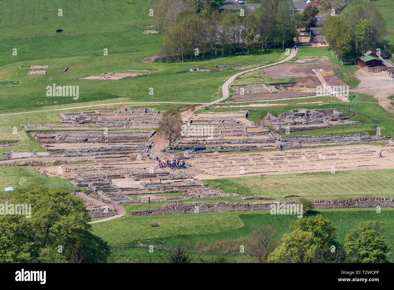 Vindolanda Roman Fort in Northumberland Stock Photo - Alamy