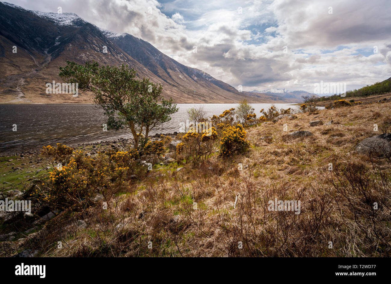 Glen Etive and Loch Etive Stock Photo - Alamy