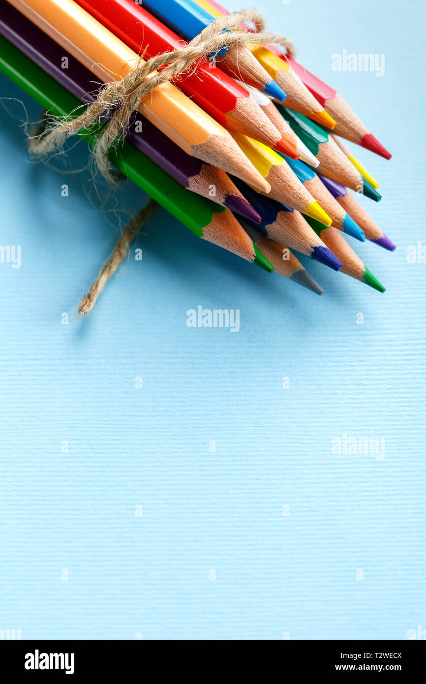 The group of pencils is connected by a rope. Back to school concept ...