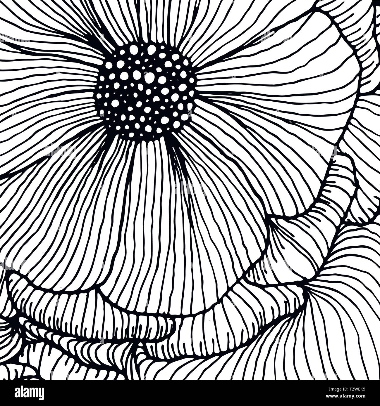 Vector doodle outline abstract ornamental flowers stripe background ...