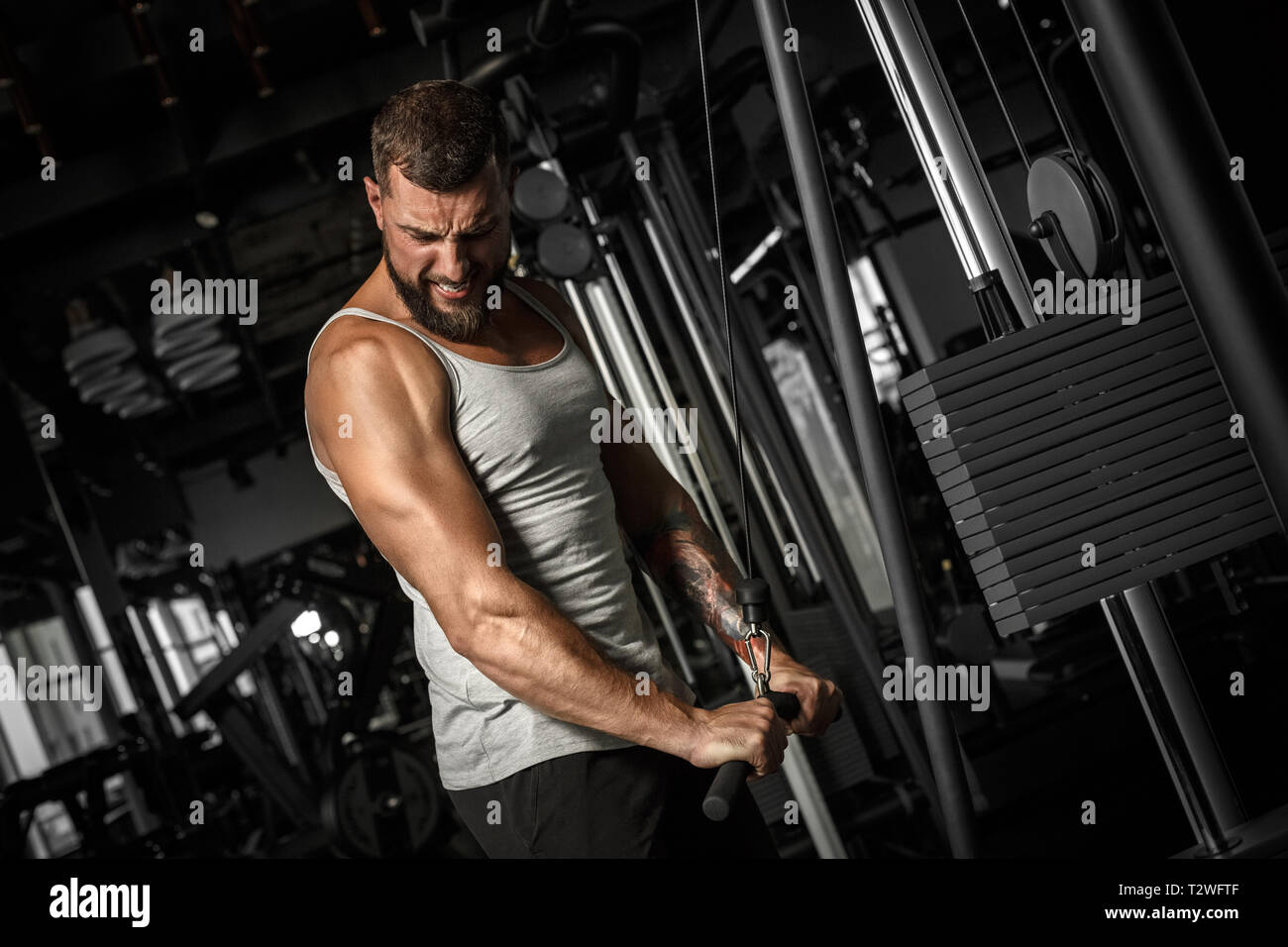 Muscular Arm Straight