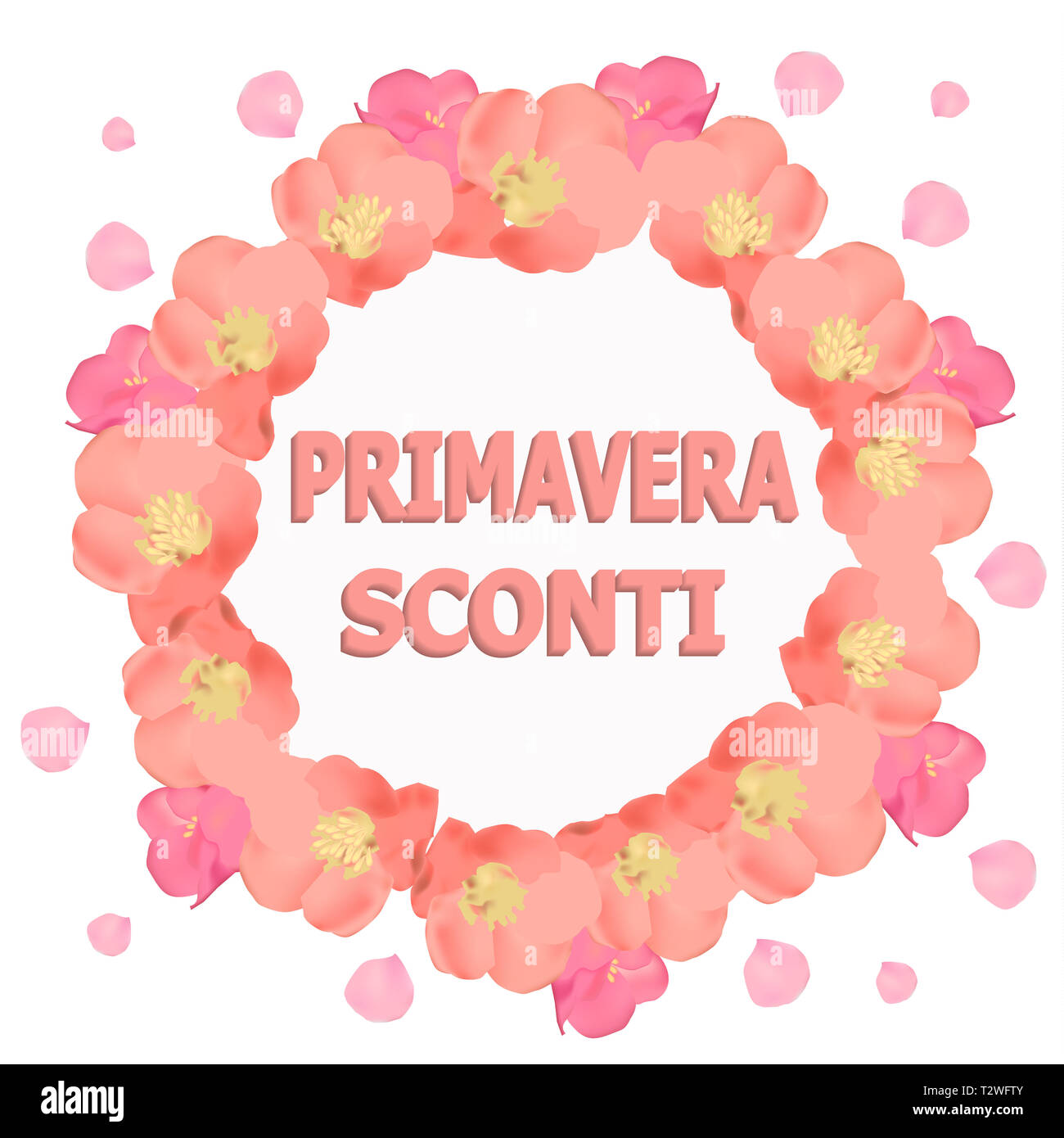 Bright spring background. Background with beautiful colorful flowers ...