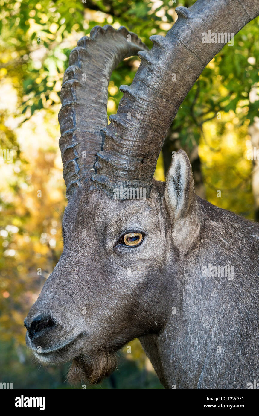 Italian alpine range hi-res stock photography and images - Alamy