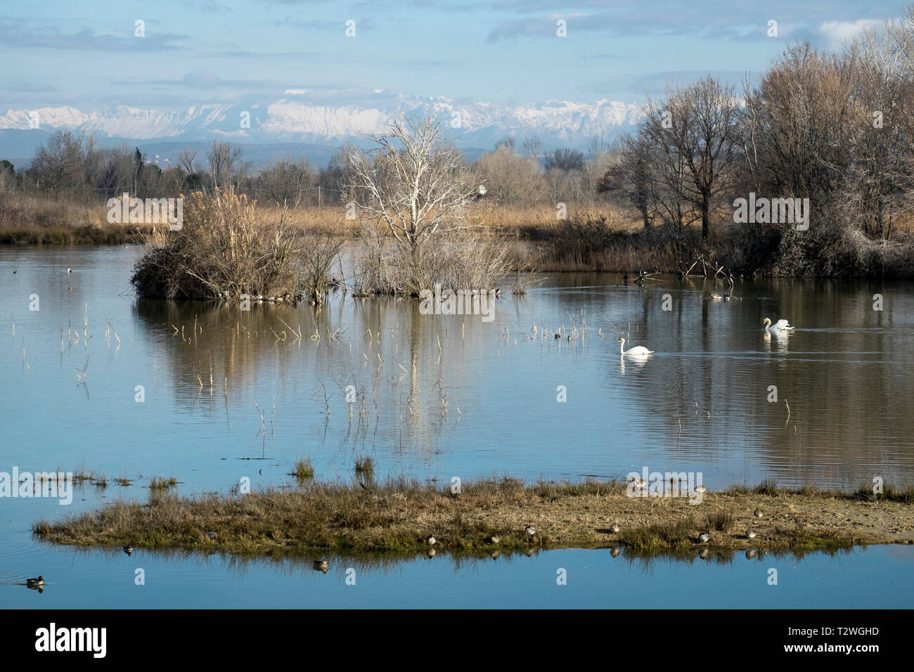Isonzo estuary regional park hi-res stock photography and images - Alamy