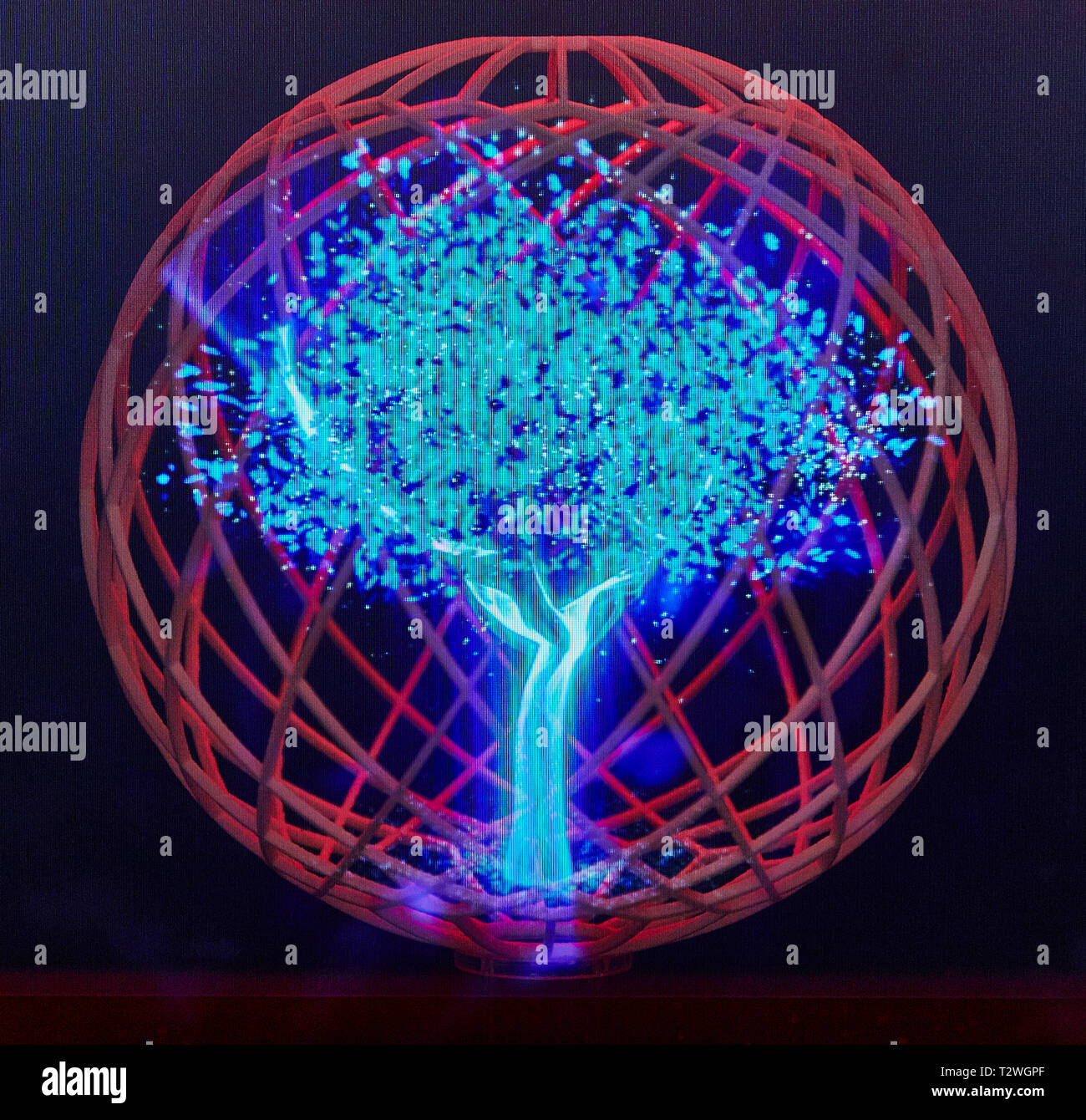 Spherical Tree Trees High Resolution Stock Photography and Images - Alamy