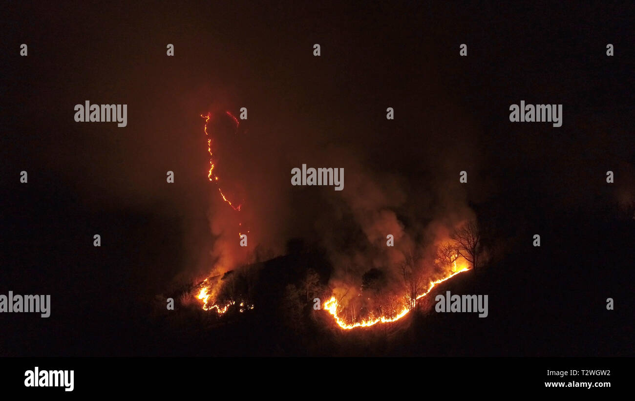 Forest fire at night, wildfire, fire, mountain, burned wood Stock Photo ...