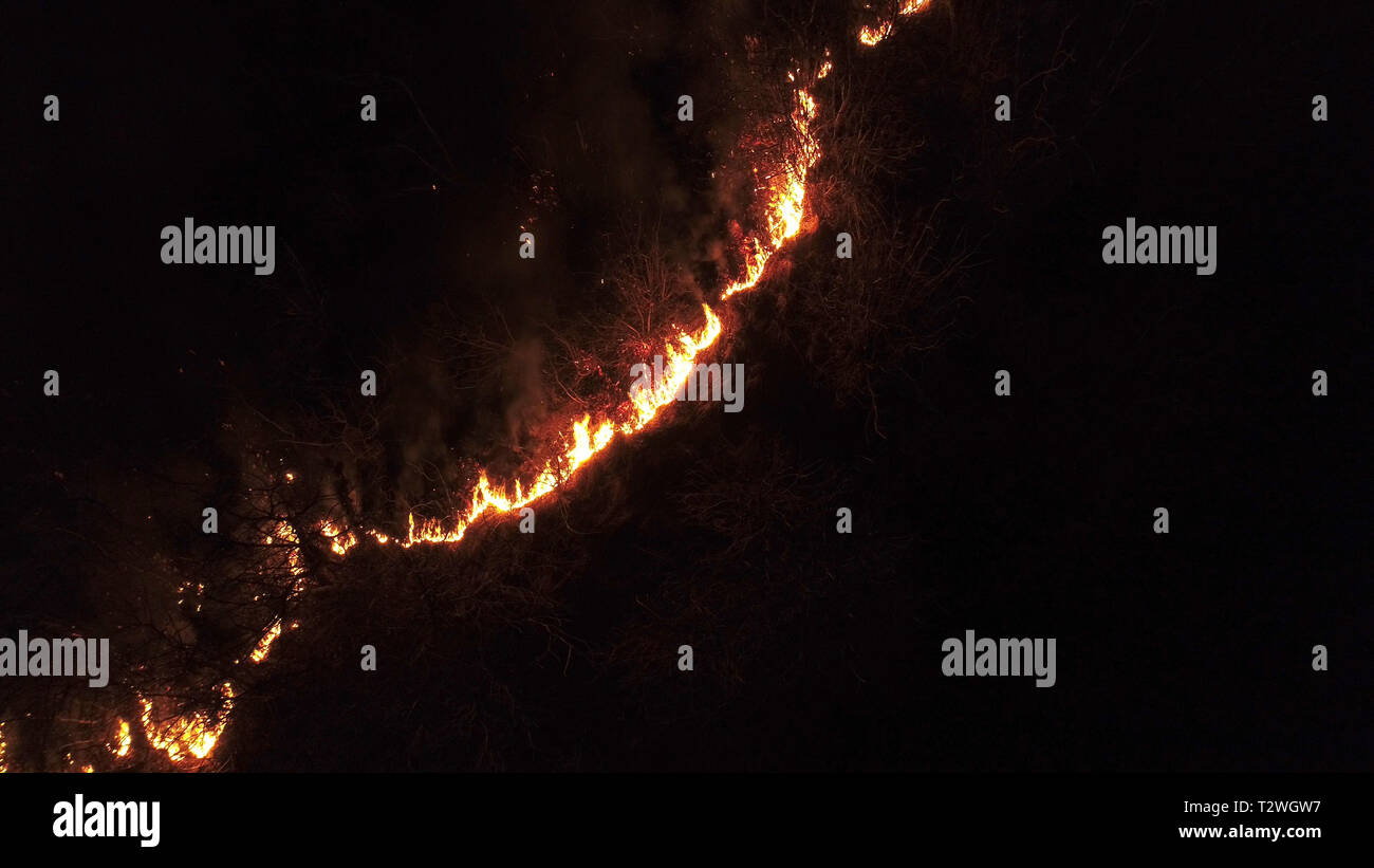 Forest fire at night, wildfire, fire, mountain, burned wood Stock Photo ...