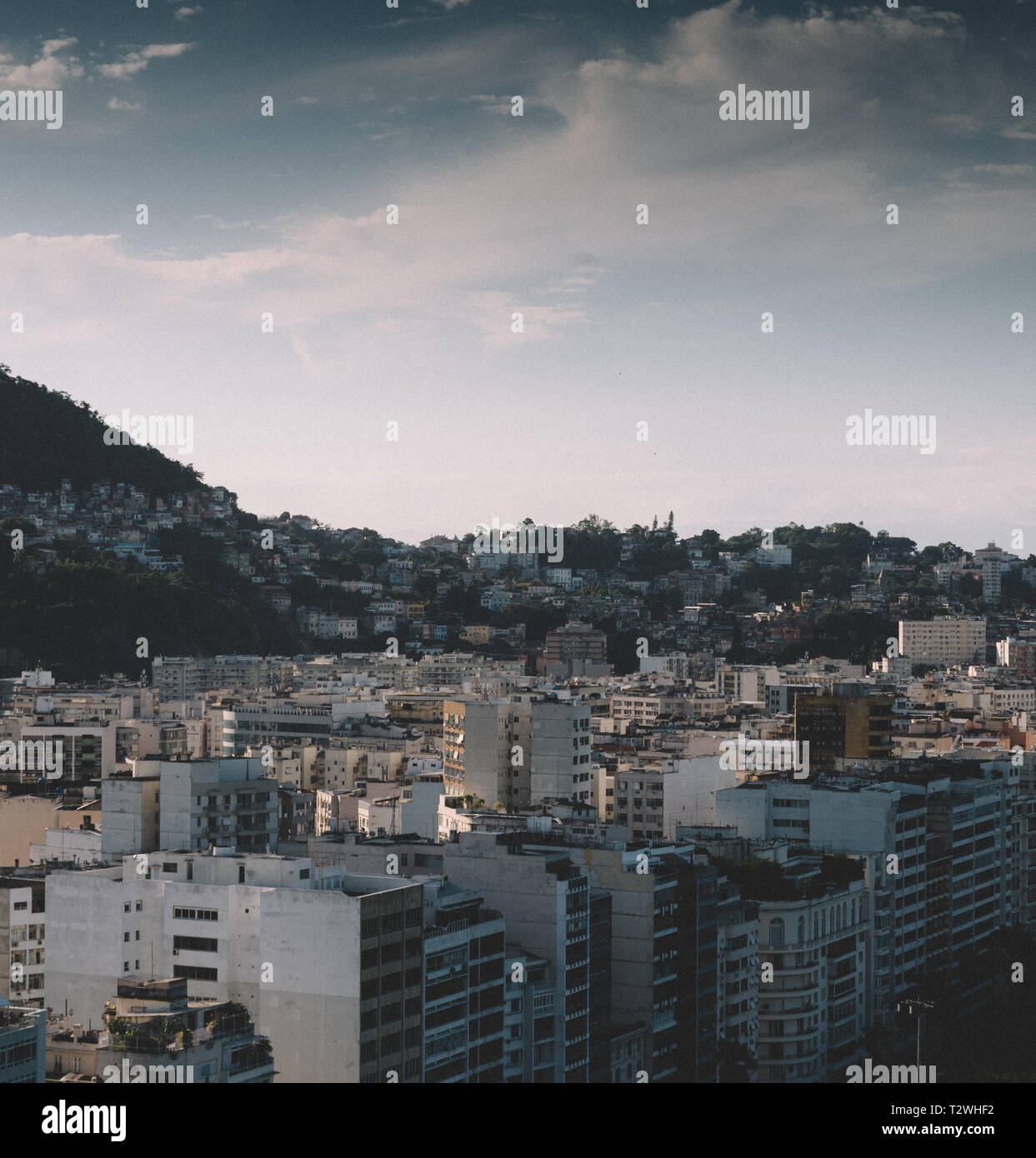 Cityscape of high rises with a favela in background, Rio de Janeiro ...