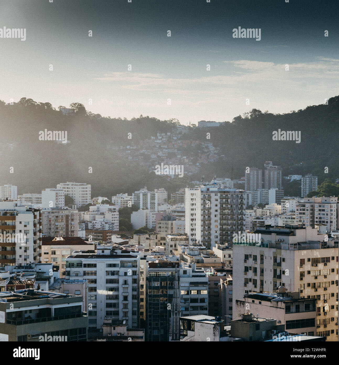 Cityscape of high rises with a favela in background, Rio de Janeiro ...