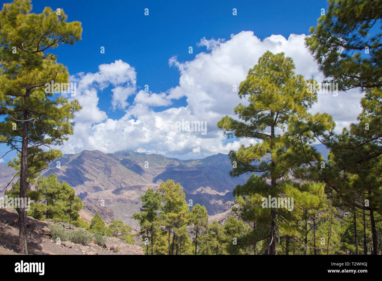 Gran Canaria, March, Landscapes of strict nature reserve Inagua ...