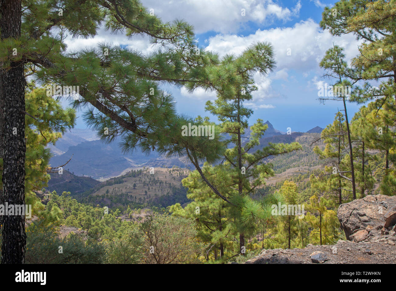 Gran Canaria, March, Landscapes of strict nature reserve Inagua ...