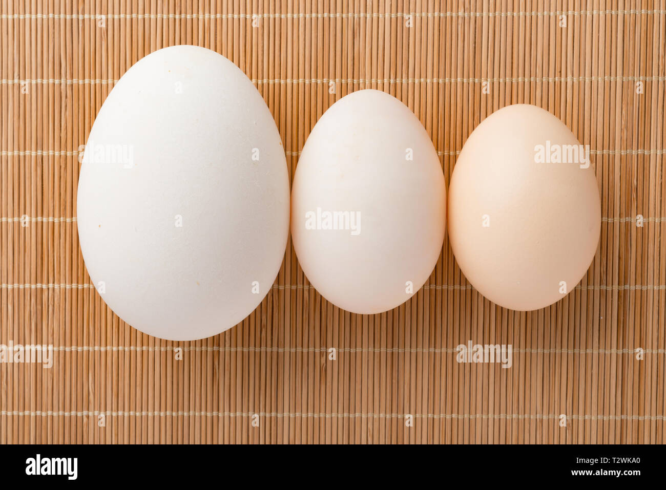 different size eggs line up Stock Photo - Alamy