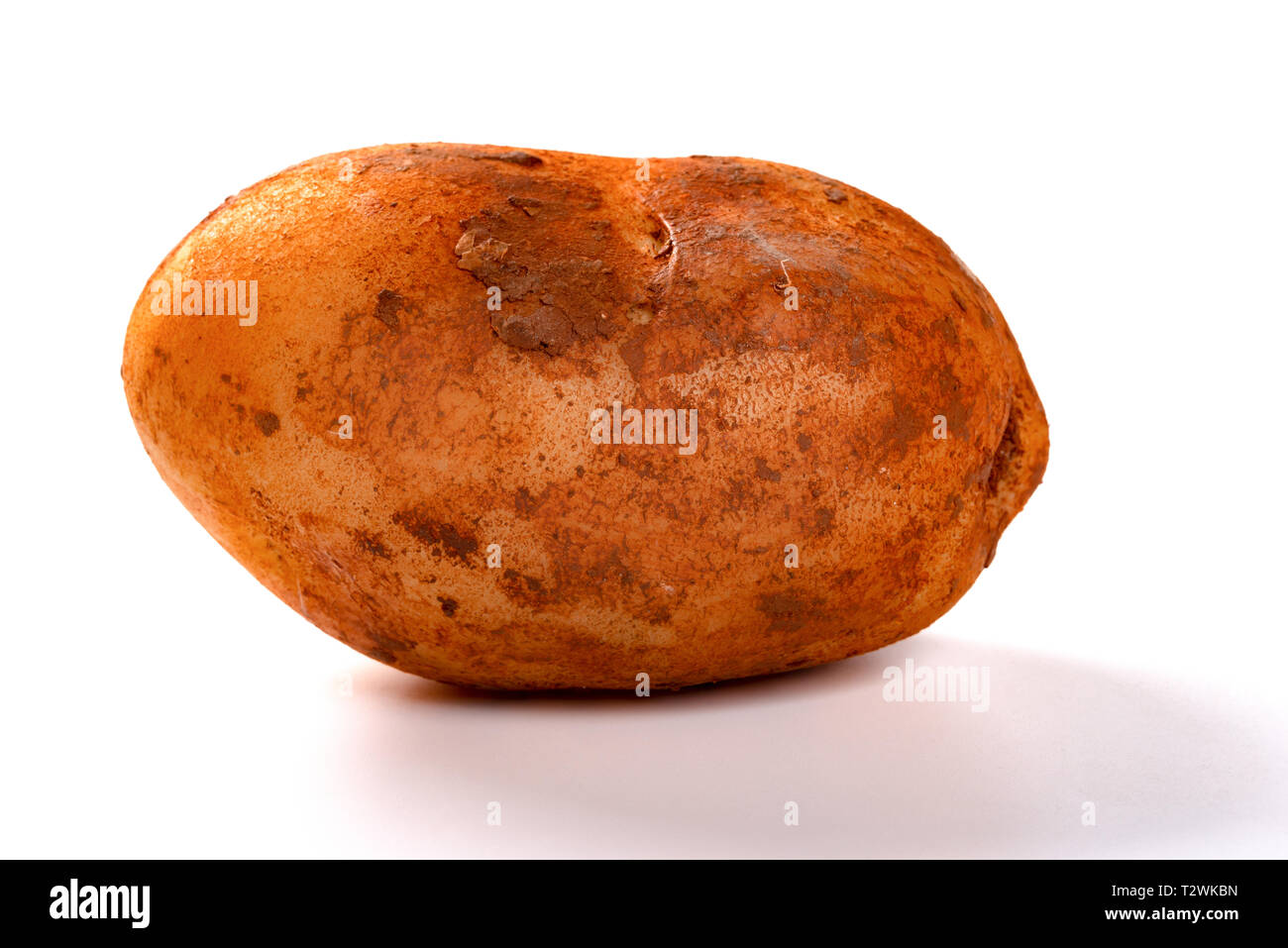 fresh raw potato with little bit mud on white background Stock Photo ...