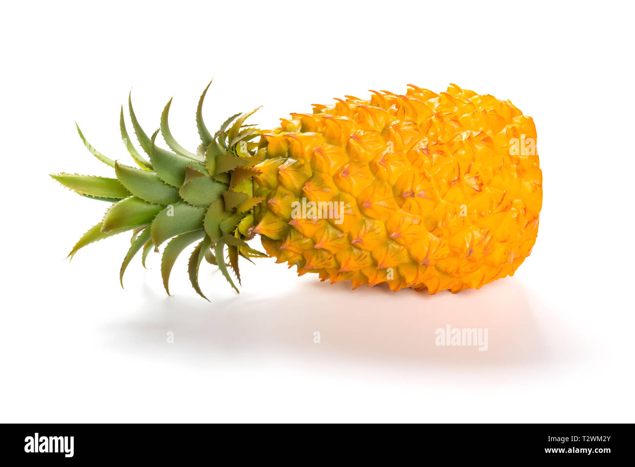 side view dummy pine apple on a white background Stock Photo - Alamy