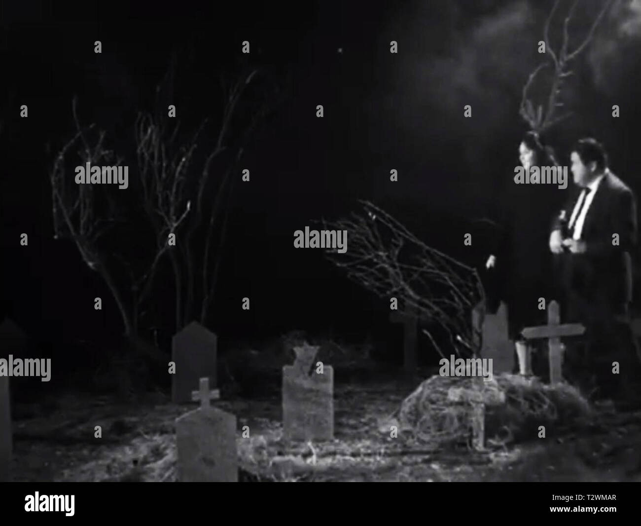 Scene from the graveyard in Plan 9 From Outer Space Stock Photo - Alamy