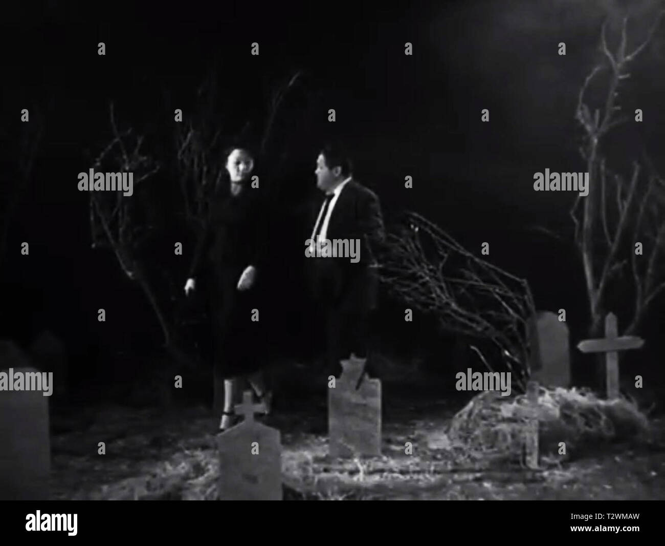 Scene from the graveyard in Plan 9 From Outer Space Stock Photo - Alamy