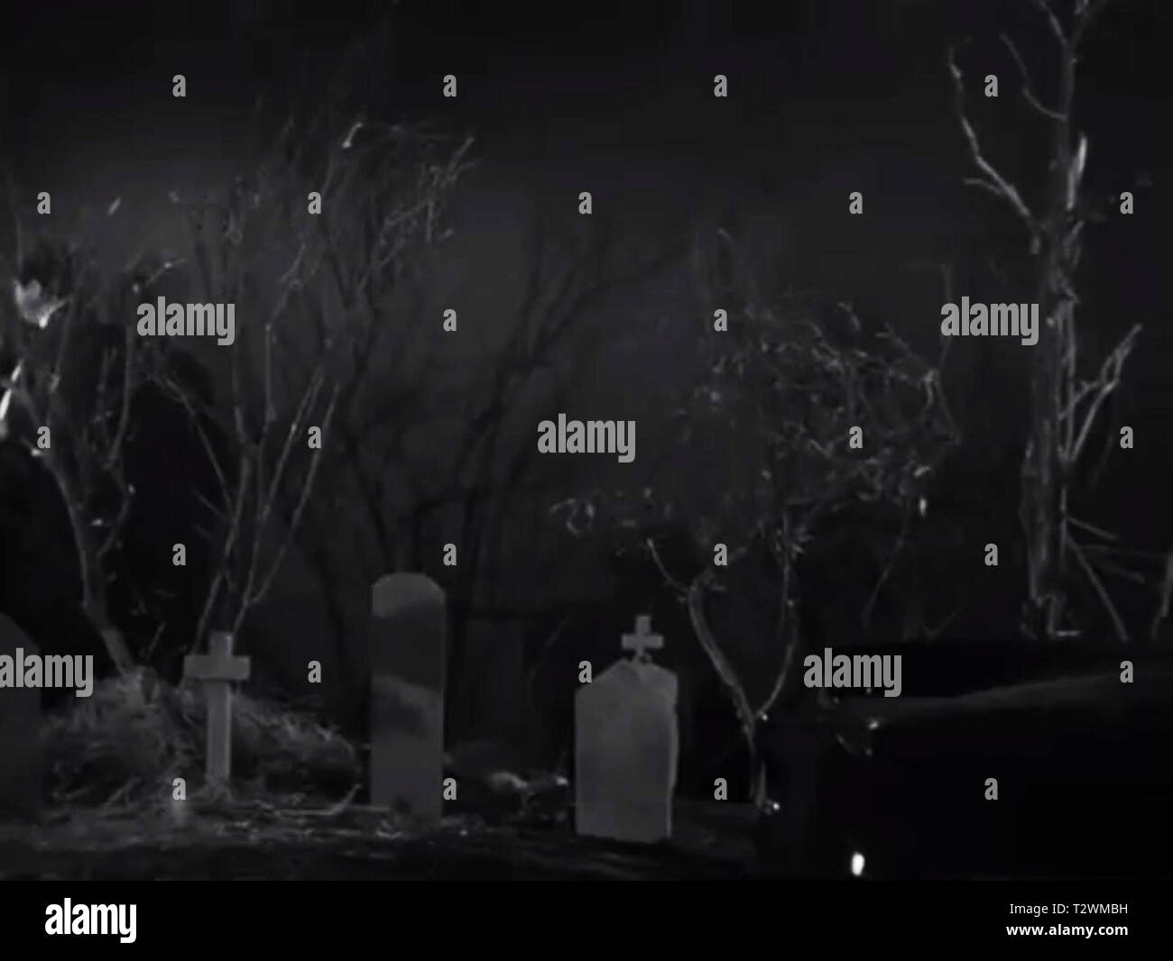 Scene from the graveyard in Plan 9 From Outer Space Stock Photo - Alamy