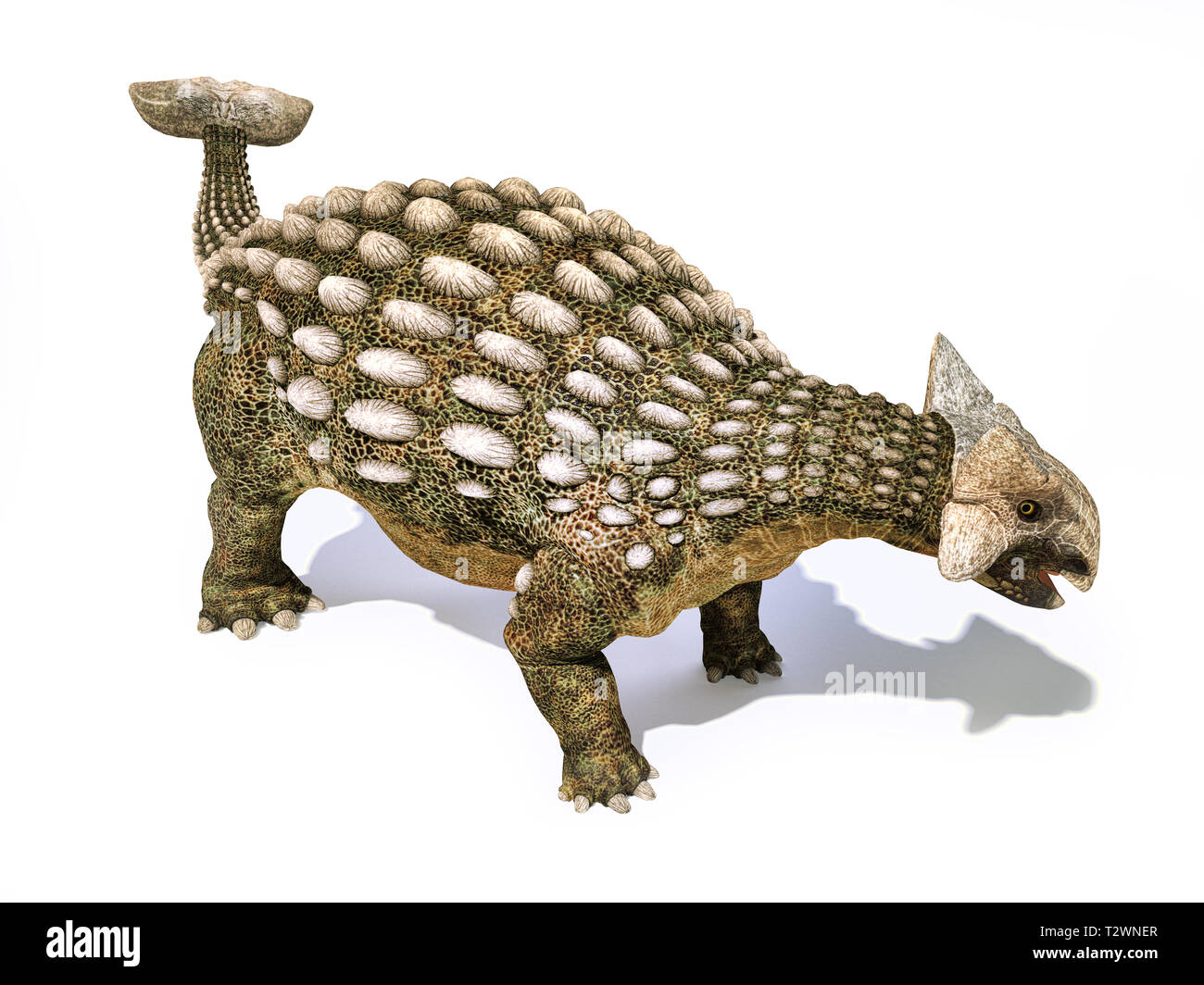 Ankylosaurus Cut Out Stock Images & Pictures - Alamy