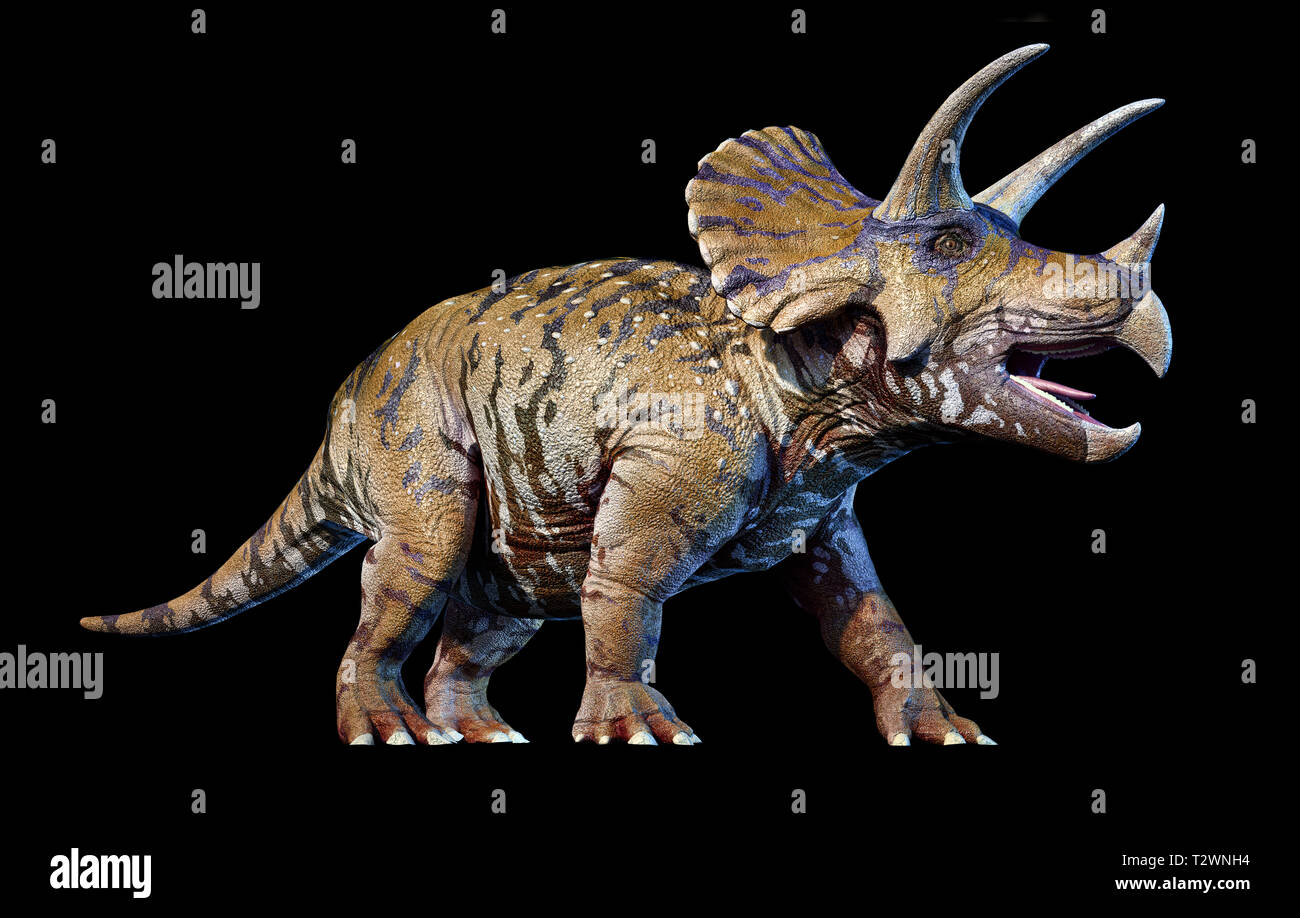 Triceratops dinosaur 3d render hi-res stock photography and images - Alamy