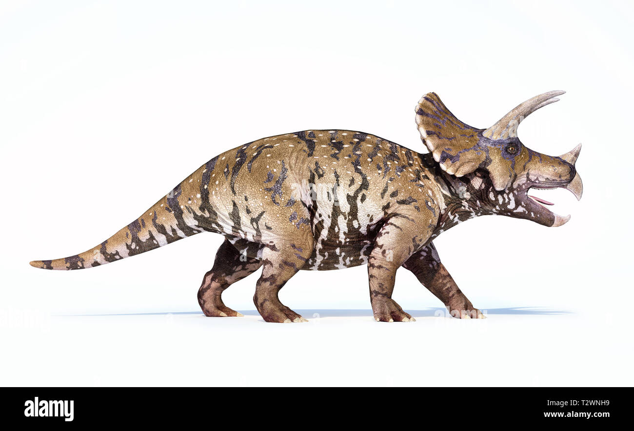 Neoceratopsia Cut Out Stock Images & Pictures - Alamy