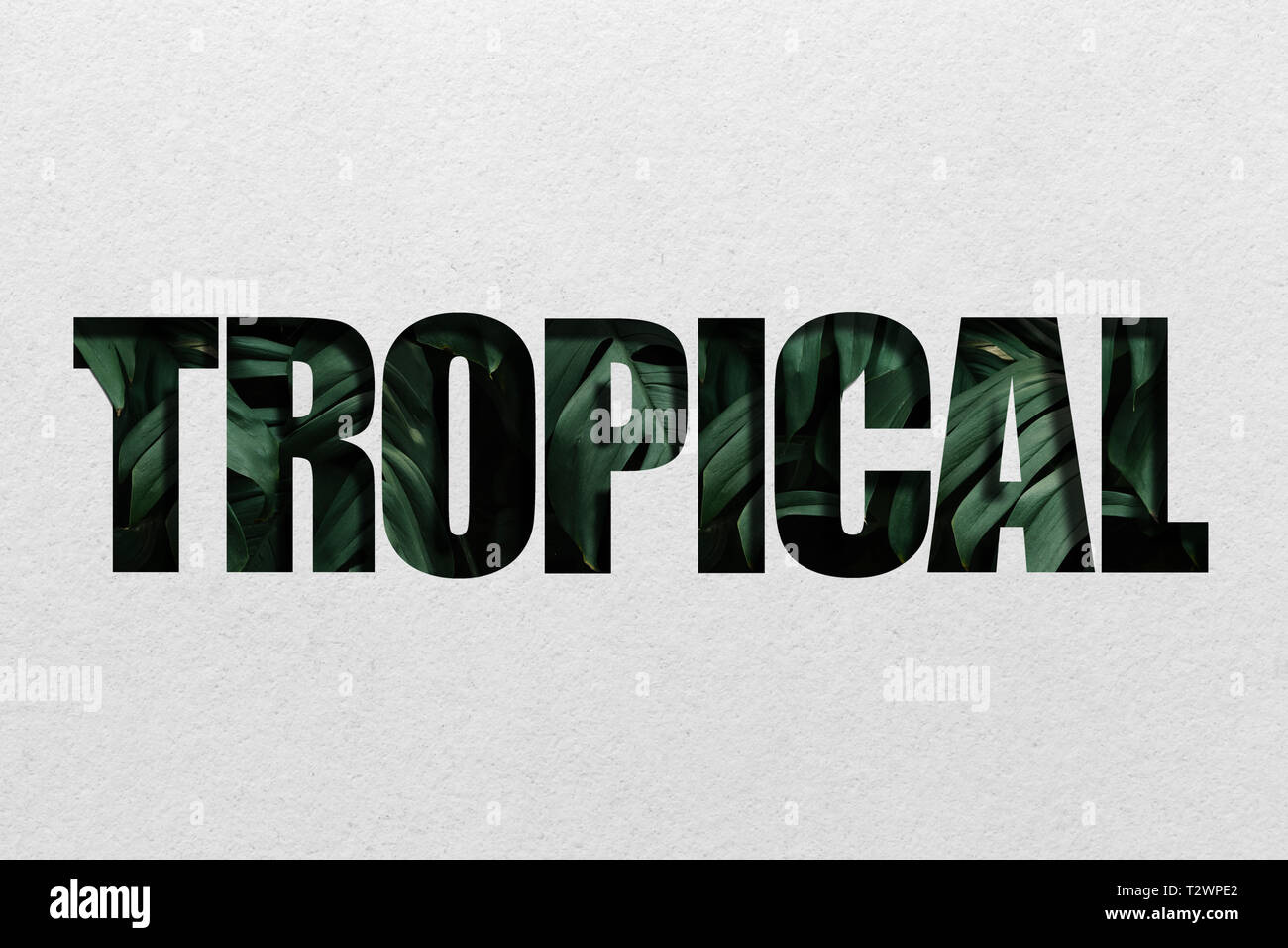 Vector illustration of aloha word hi-res stock photography and images ...