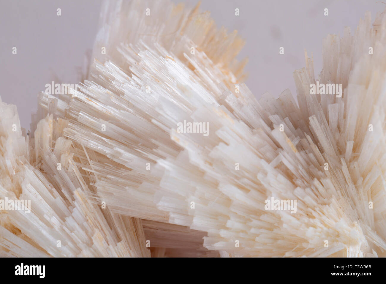aragonite mineral specimen stone Stock Photo - Alamy