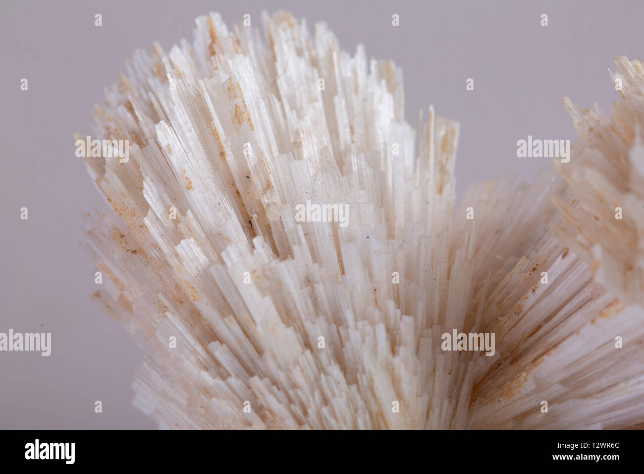 aragonite mineral specimen stone Stock Photo - Alamy