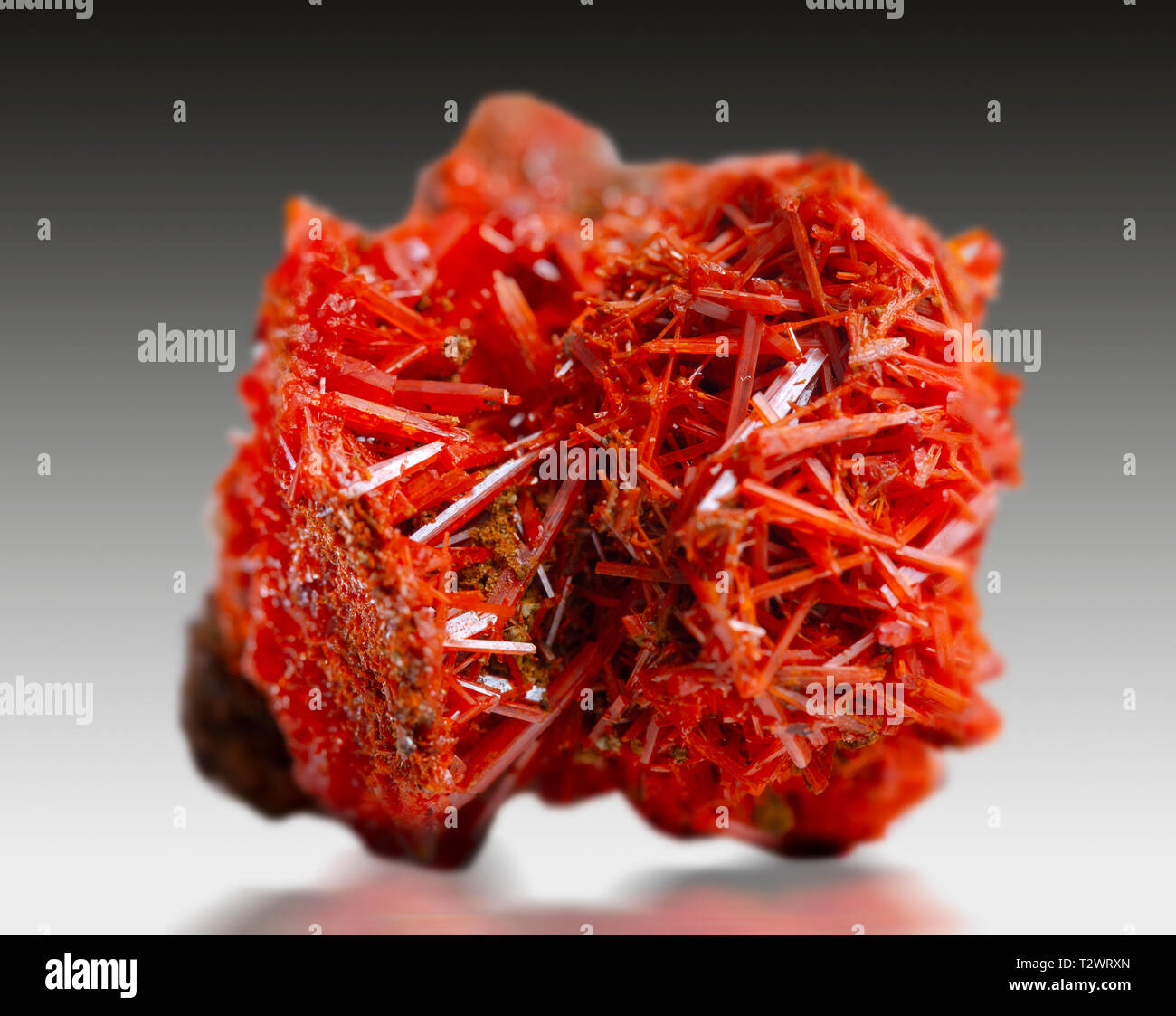crocoite mineral specimen stone Stock Photo - Alamy