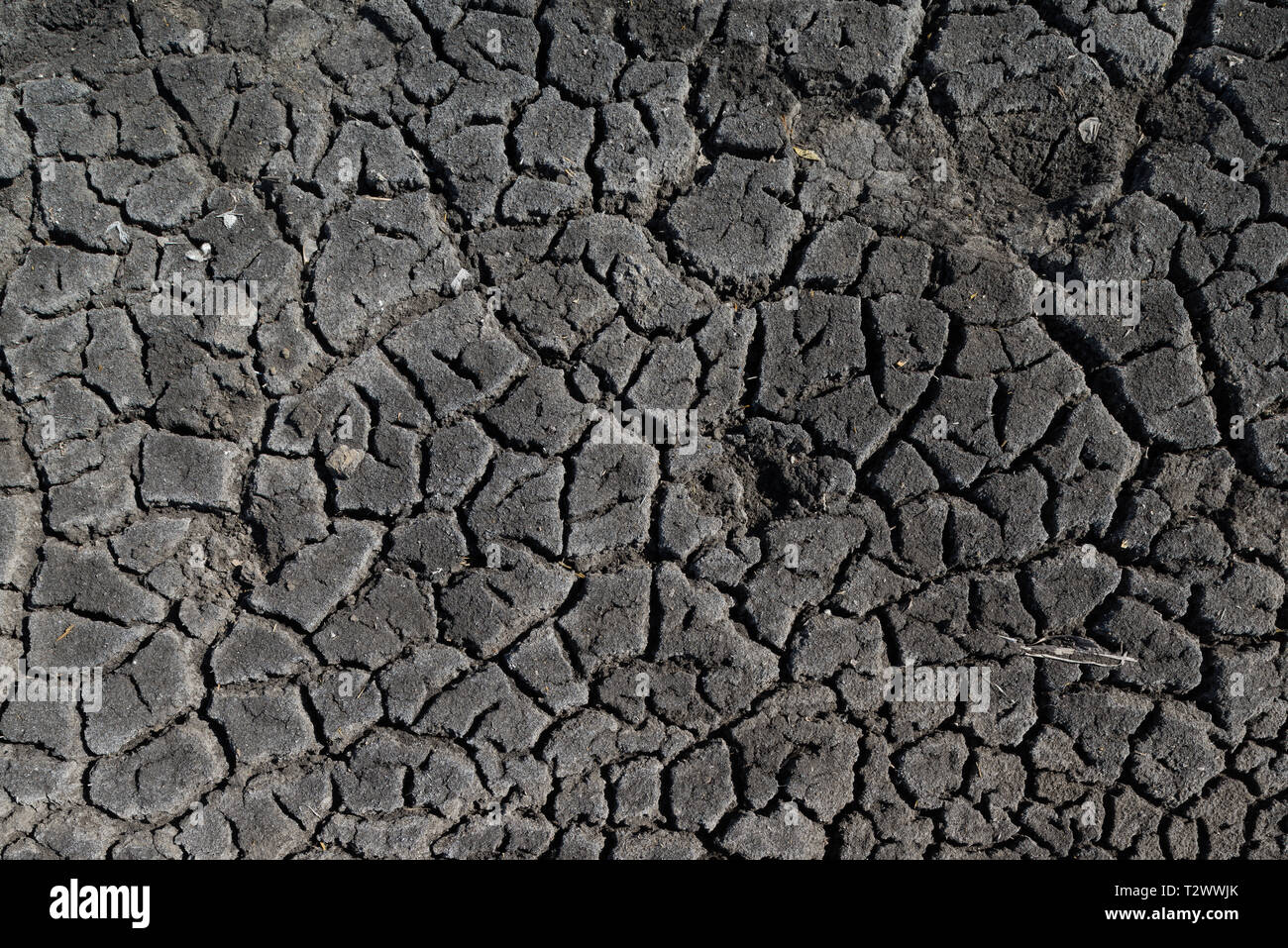 Black earth with large cracks for background or texture Stock Photo - Alamy