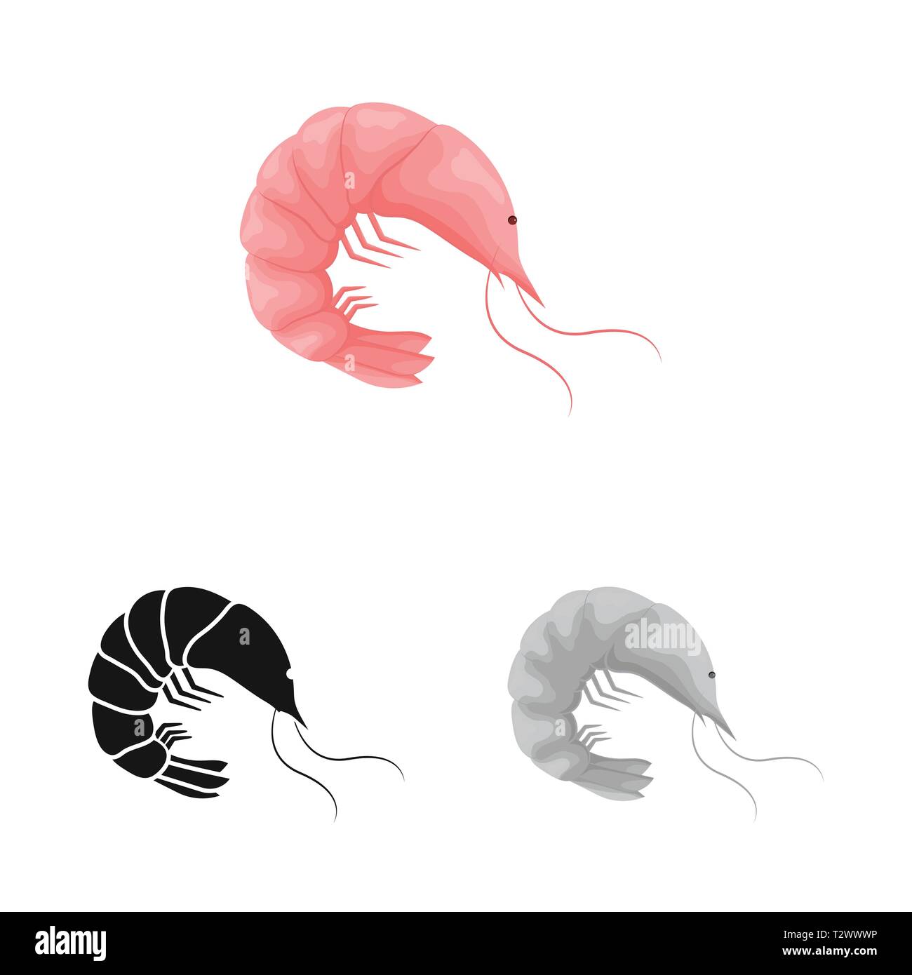 Prawn creature boiled fresh Cut Out Stock Images & Pictures - Alamy