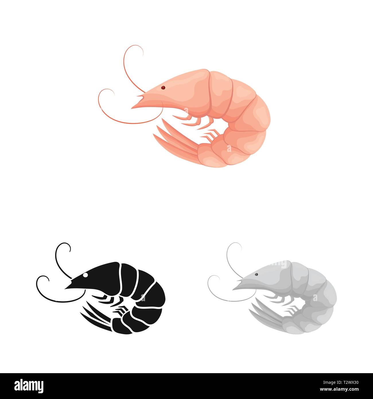 luxury,underwater,atlantic,happy,aquatic,shrimp,crab,food,sea,prawn,raw ...